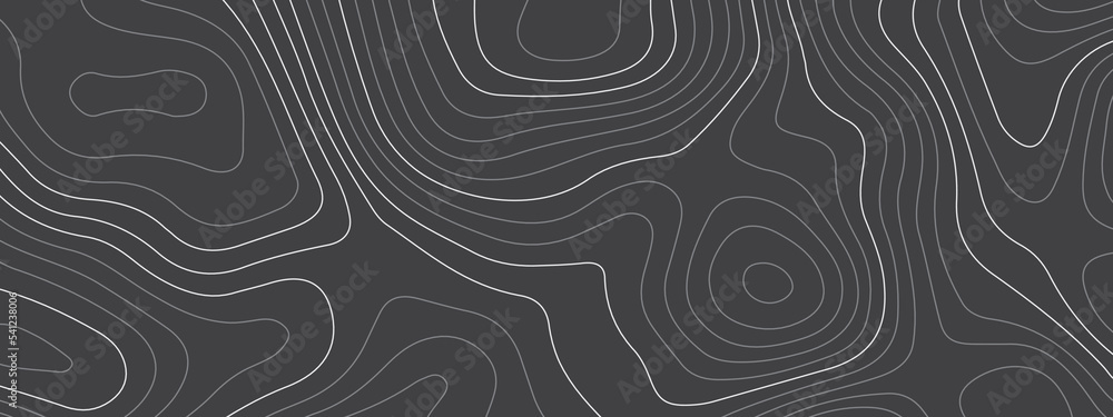 The stylized black and white abstract topographic map with lines and ...