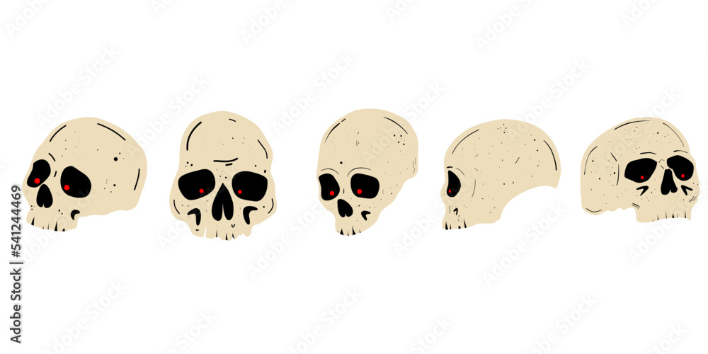 Human skull set. Anatomically correct human skulls set isolated ...