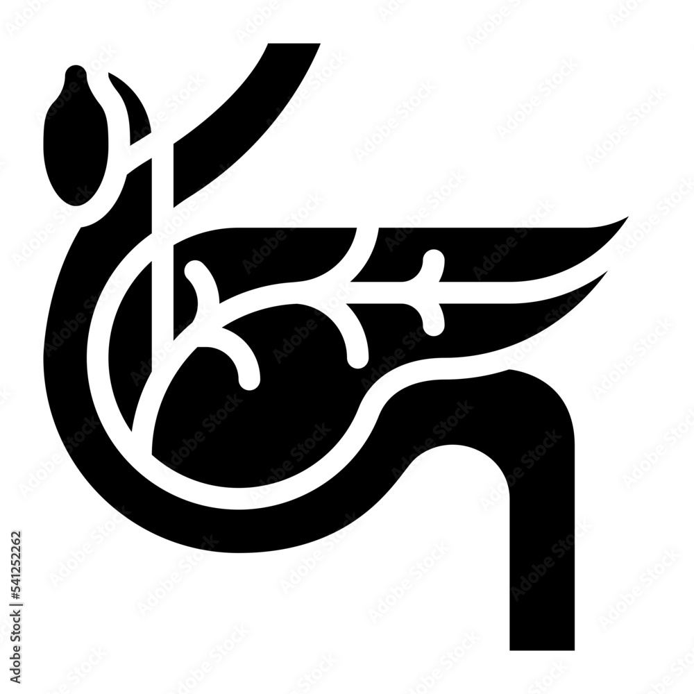 pancreas human body organ Stock Vector | Adobe Stock