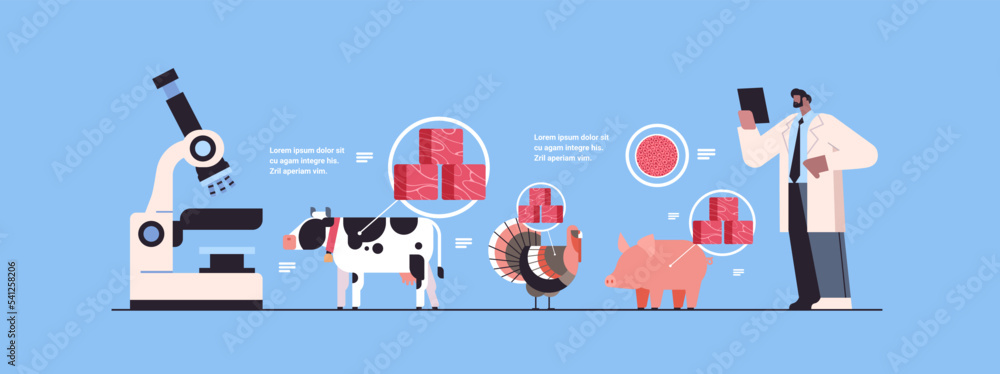 scientist controlling production process of cultured red raw meat made ...