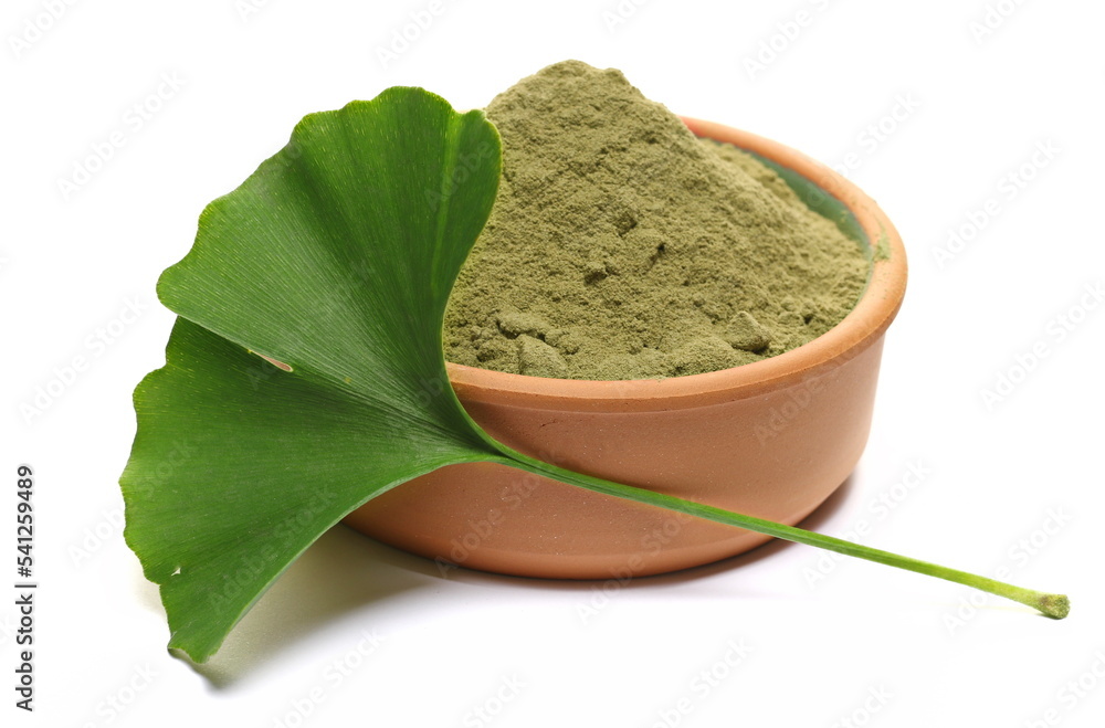 Ginkgo biloba green leaf with pile powder in clay pot isolated on white ...