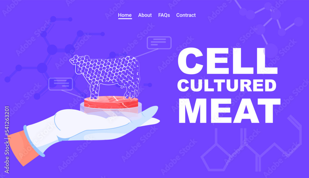 scientist hands analyzing dna of cultured red raw meat made from animal ...