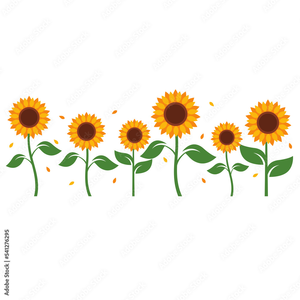 Sunflower Theme Png Format With Transparent Background Stock ...