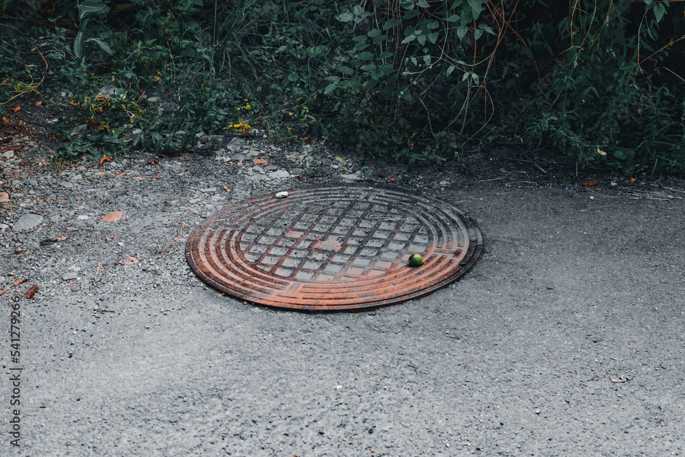 Round metallic sewer cap or manhole cover next to green bush on a ...