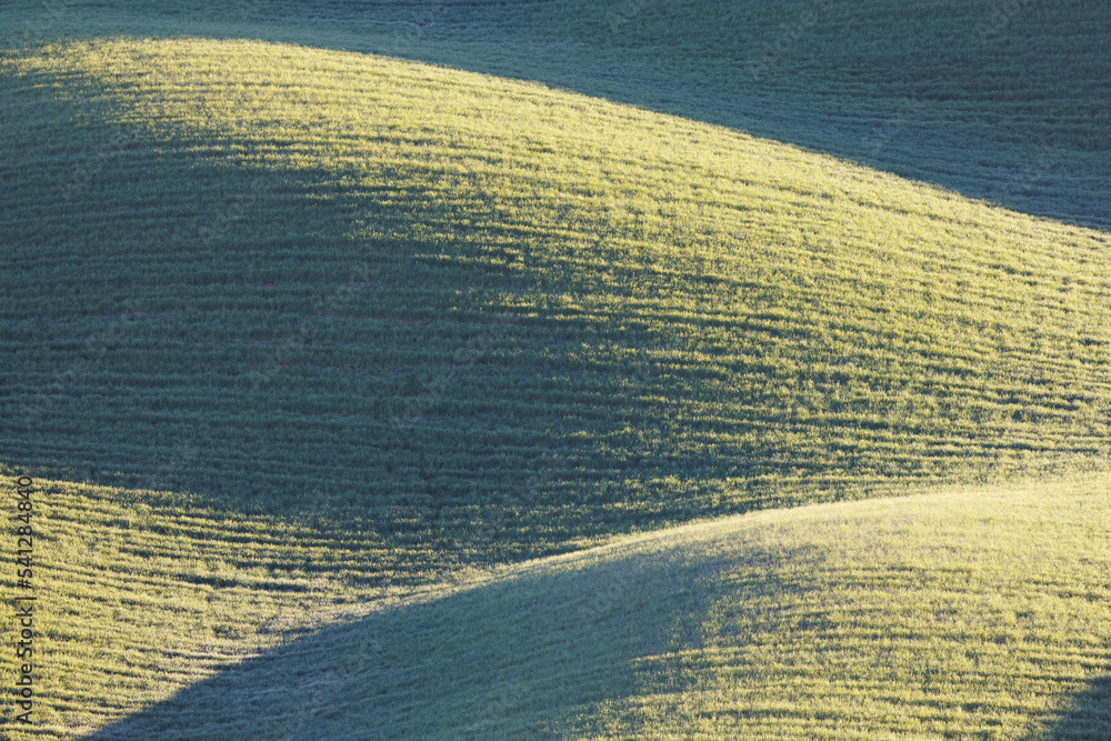 Entornos verces típicos de la toscana, praderas primaverales Stock ...