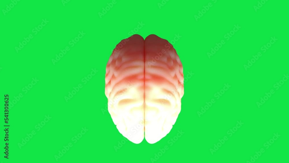 3d Animation of dopamine and serotonin release from the nervous system ...