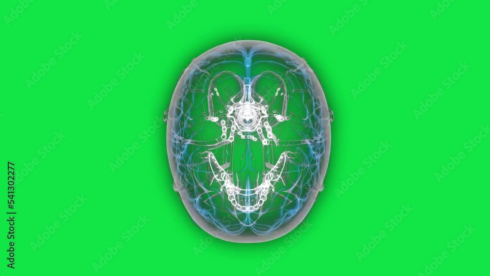 3d Animation of dopamine and serotonin release from the nervous system ...