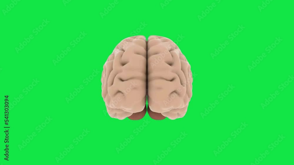 3d Animation of dopamine and serotonin release from the nervous system ...