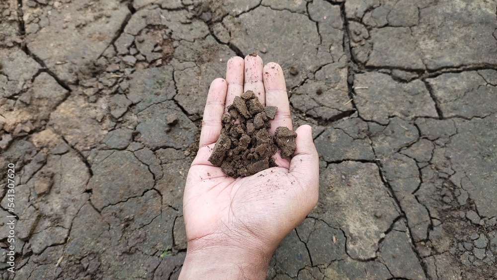 Farmer hand holding and checking dryness in damaged, dry, broken, rough ...