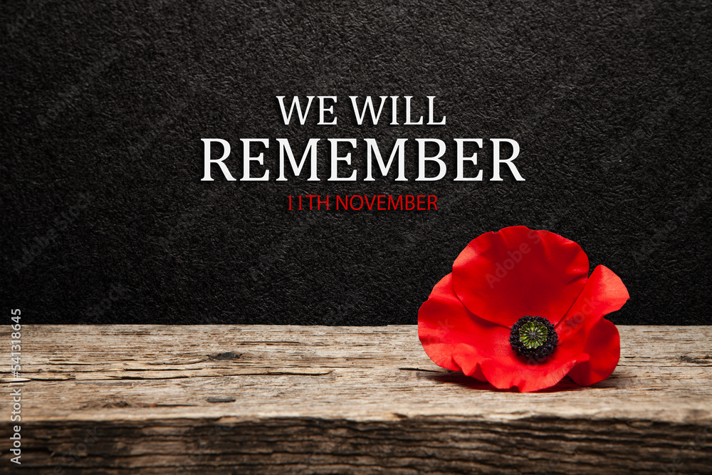 Poppy pin for Remembrance Day. Poppy flower on old beautiful high grain ...