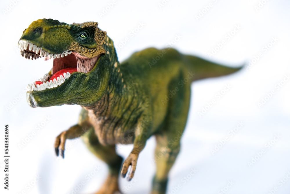 Tyrannosaurus Rex. T-Rex is a genus of large theropod dinosaur. Stock ...