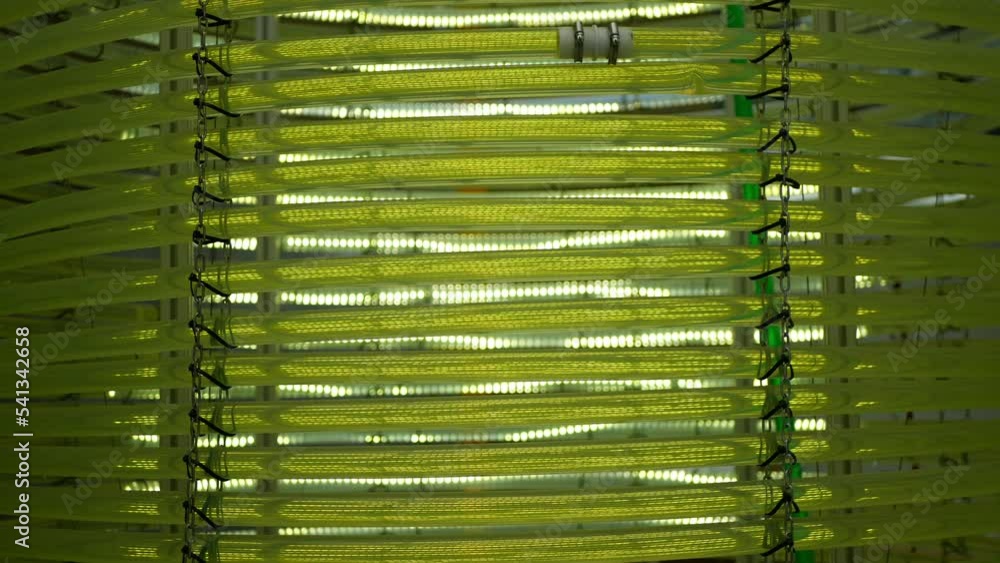 Biotechnology science algae reactor tubular, research pipe hose modern ...