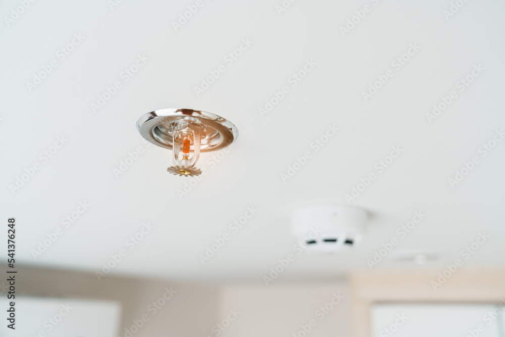 Fire Sprinkler and Smoke sensor detector mounted on roof in home or ...