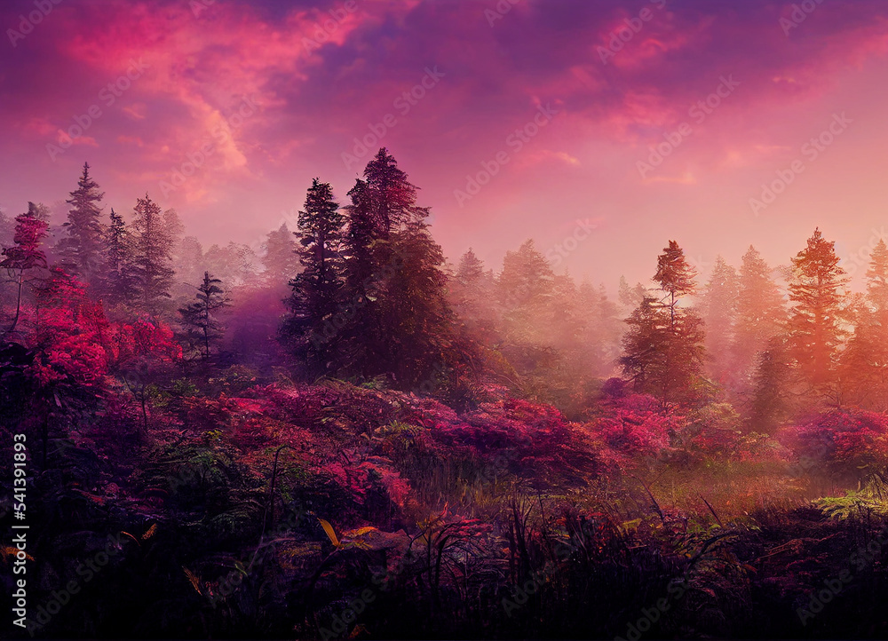 Beautiful Sunset Forest