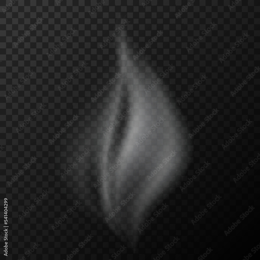 Smoke on transparent background. Steam smoke shape. Smoking vapor ...