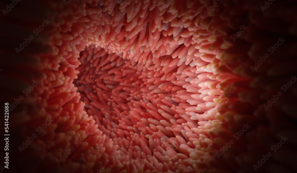 Microvilli on surface of digestive system or intestinal tract. 3D ...