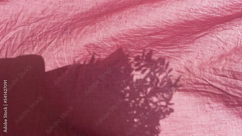 Plant pot shadow behind pink linen curtains on window. Morning sun ...