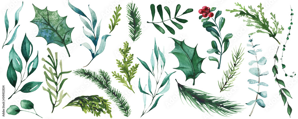 Evergreen Leaves Clipart
