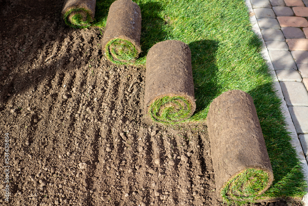 Stack of turf grass for lawn. roll of sod, turf grass roll. Stock Photo ...