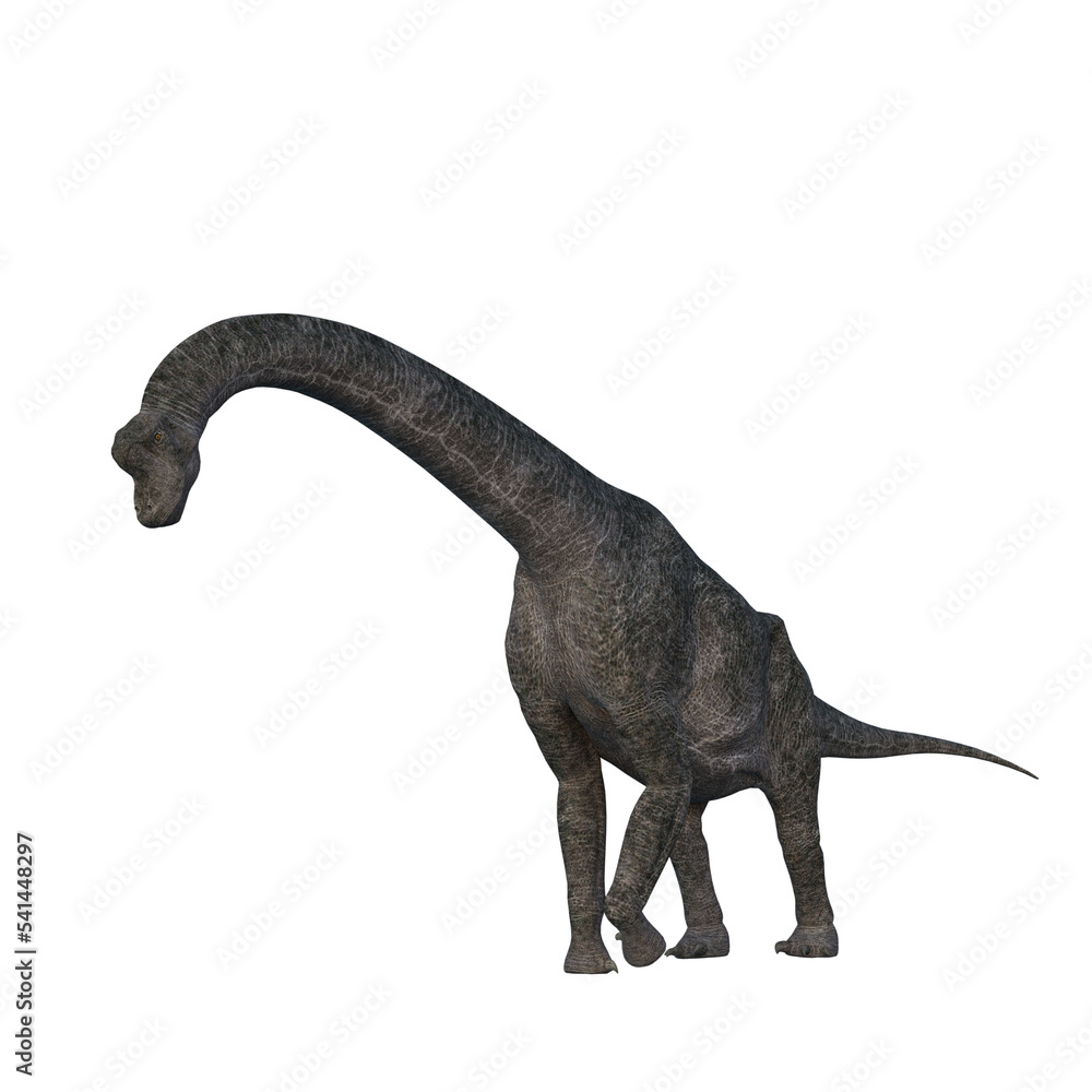 Brachiosaurus Jurassic dinosaur. 3D illustration isolated on ...
