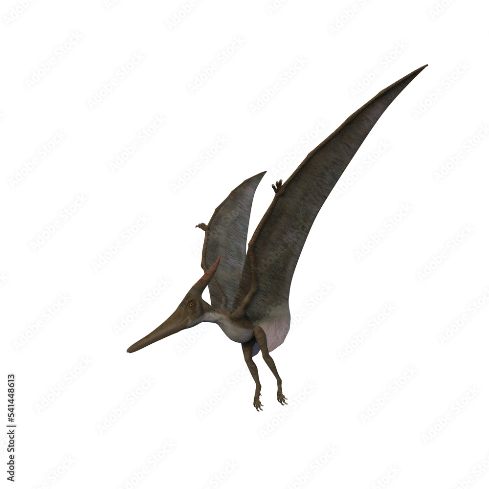 Pteranodon dinosaur. 3D illustration isolated on transparent background ...
