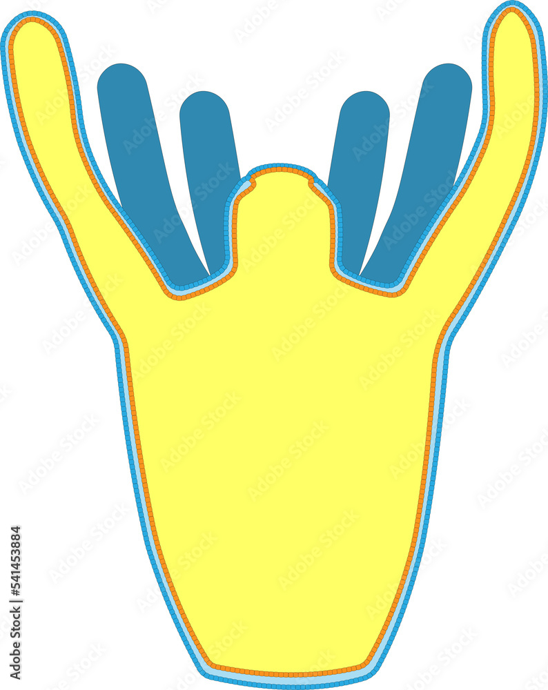 Hydra Internal Anatomy. Stock Illustration | Adobe Stock