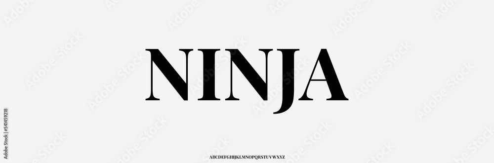 NINJA Modern Bold Font. Regular Italic Number Typography urban style ...