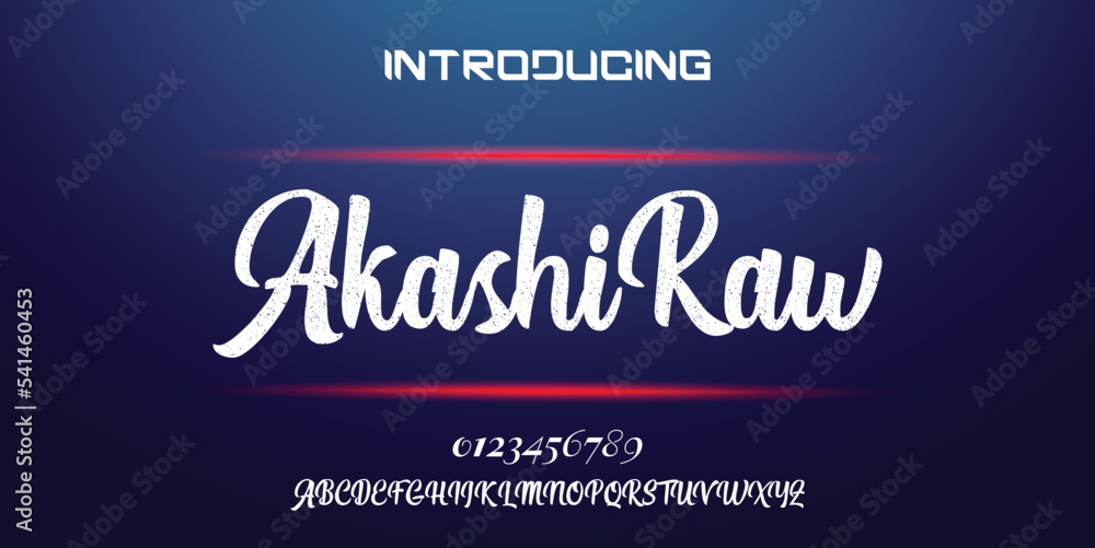 AKASHI RAW Signature Font Calligraphy Logotype Script Brush Font Type ...