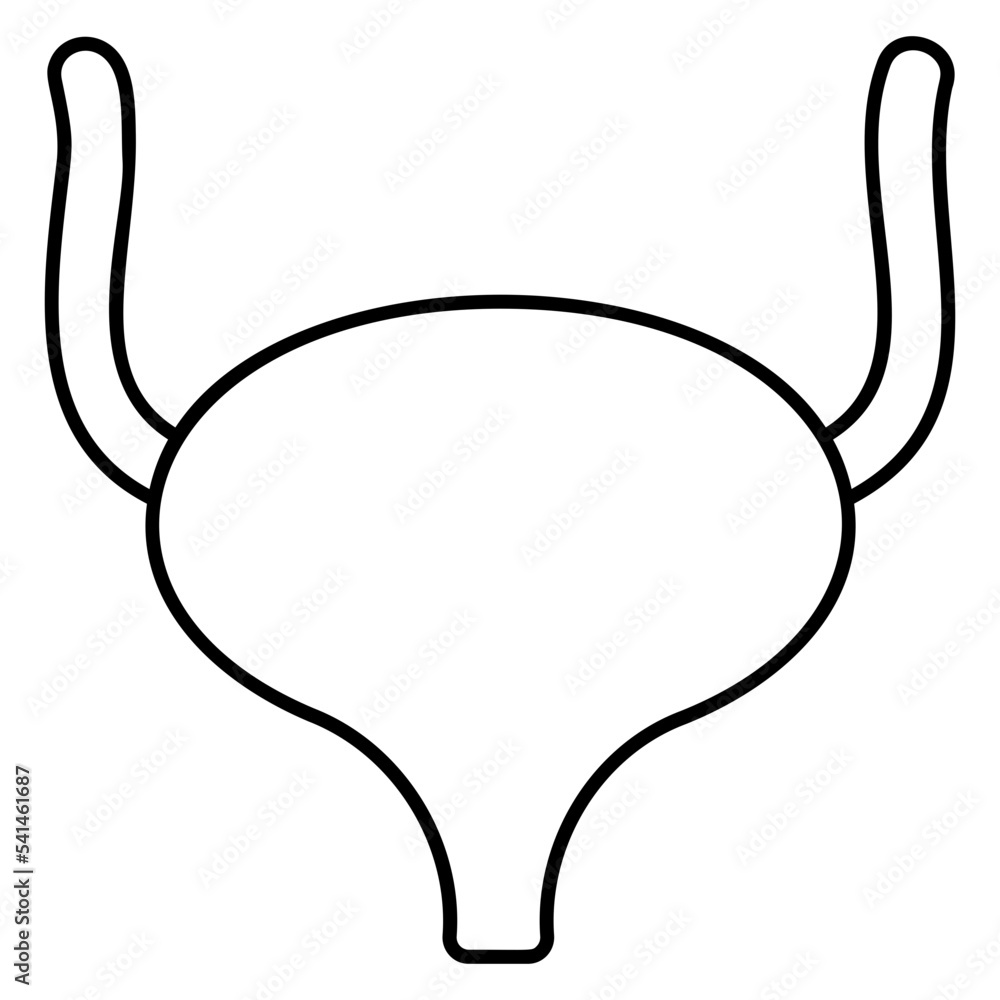 Prostate Gland Concept, Urinary Bladder vector outline icon Design ...