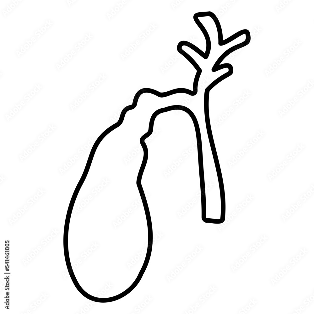 Gall bladder Concept, Green cholecyst vector outline icon Design, Organ ...