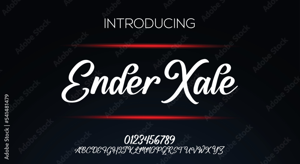 ENDER XALE Signature Font Calligraphy Logotype Script Brush Font Type ...