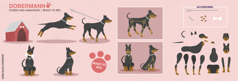 Doberman dog vector illustration ready to rig for animation. Dog ...