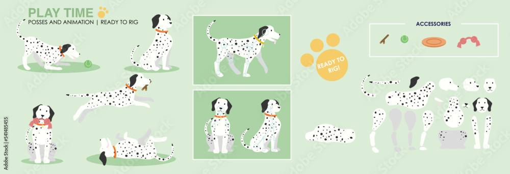 Dalmatian dog ready to animate. Vector illustration with poses, and ...
