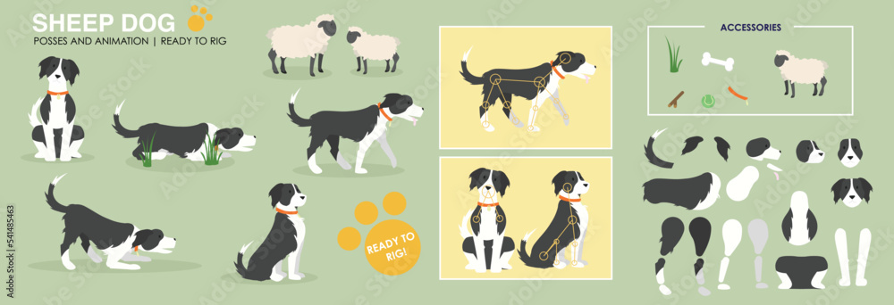 Vetor de Collie sheep dog ready to animate. Vector illustration ...