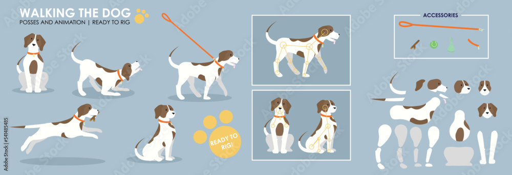 Dog character for animation. Created with various poses, expressions ...