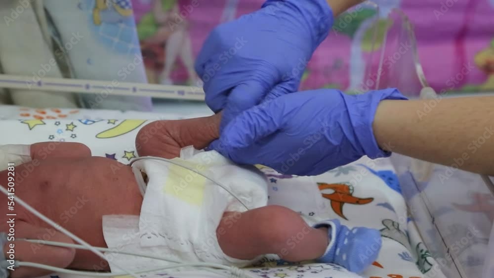 Perinatal Unit. Incubator for newborns of premature babies ...
