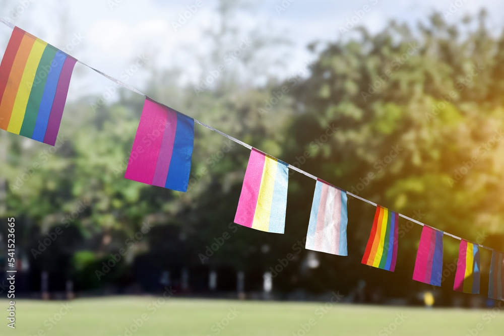 Lgbtq+ flags were hung in the middle of the park to decorate, respect ...