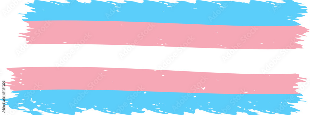 Transgender pride flag vector illustration isolated on transparent ...