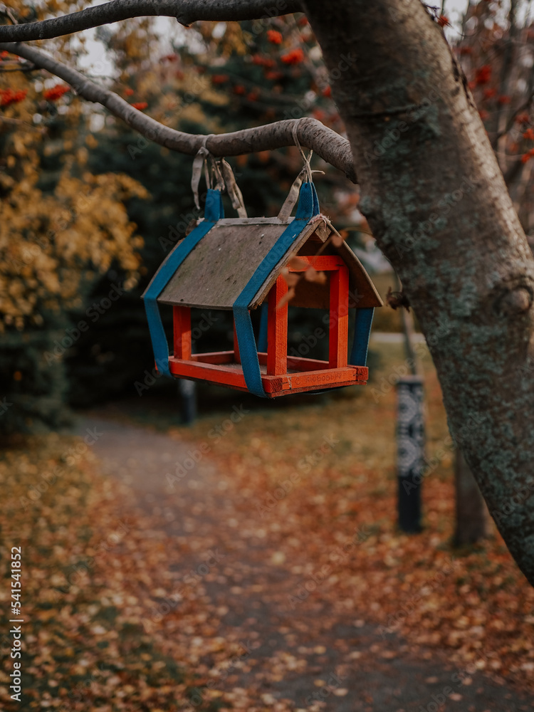 Tree birdhouse in autumn Stock-Foto | Adobe Stock
