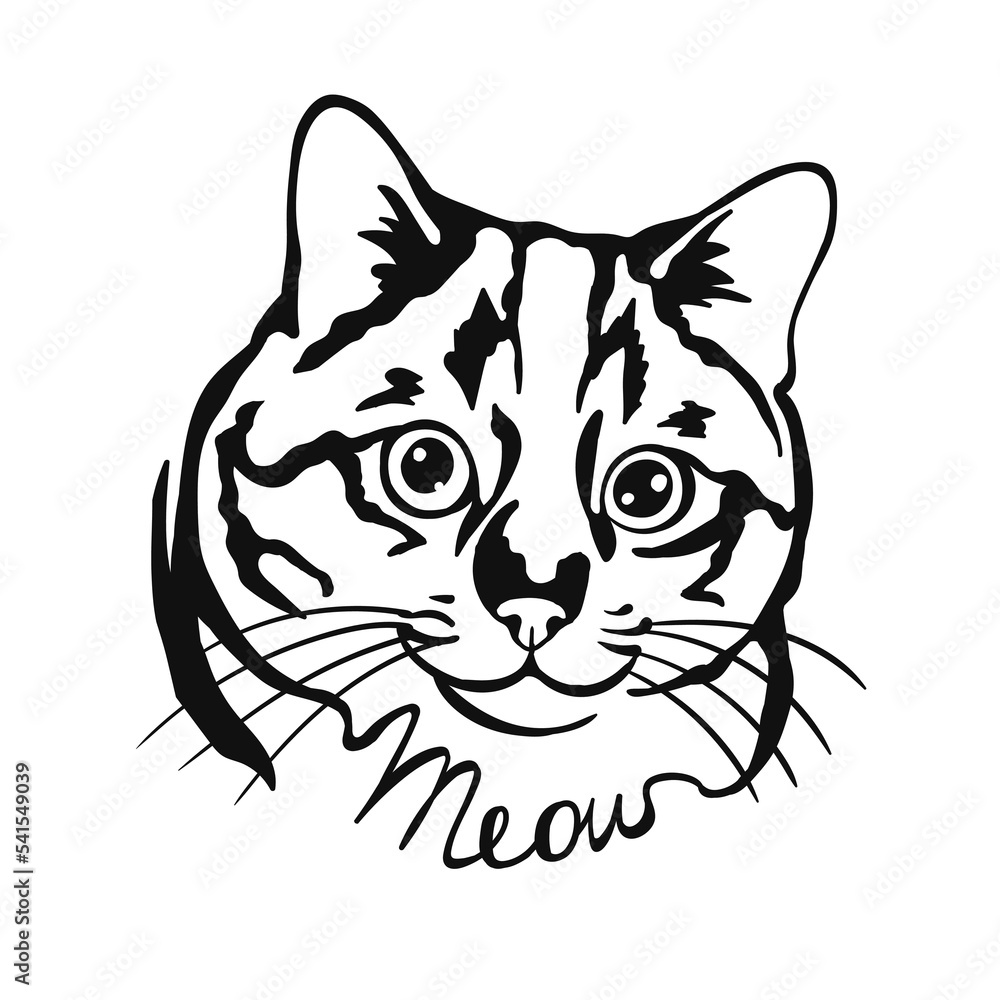 Cute Cat Hand drawn vintage illustration with hand-lettering meow, Cut ...