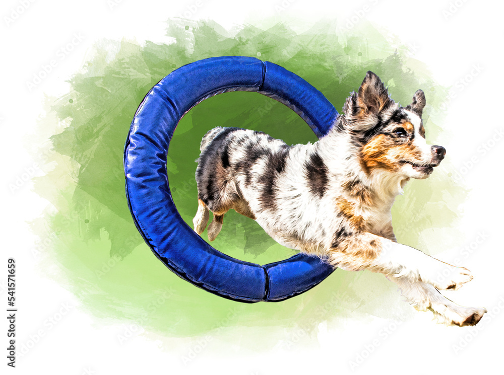 Sketch and watercolor clipart of a dog mastering an agility obstacle ...