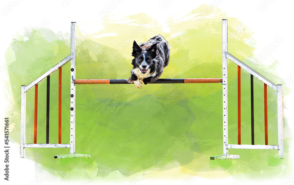 Sketch and watercolor clipart of a dog mastering an agility obstacle ...