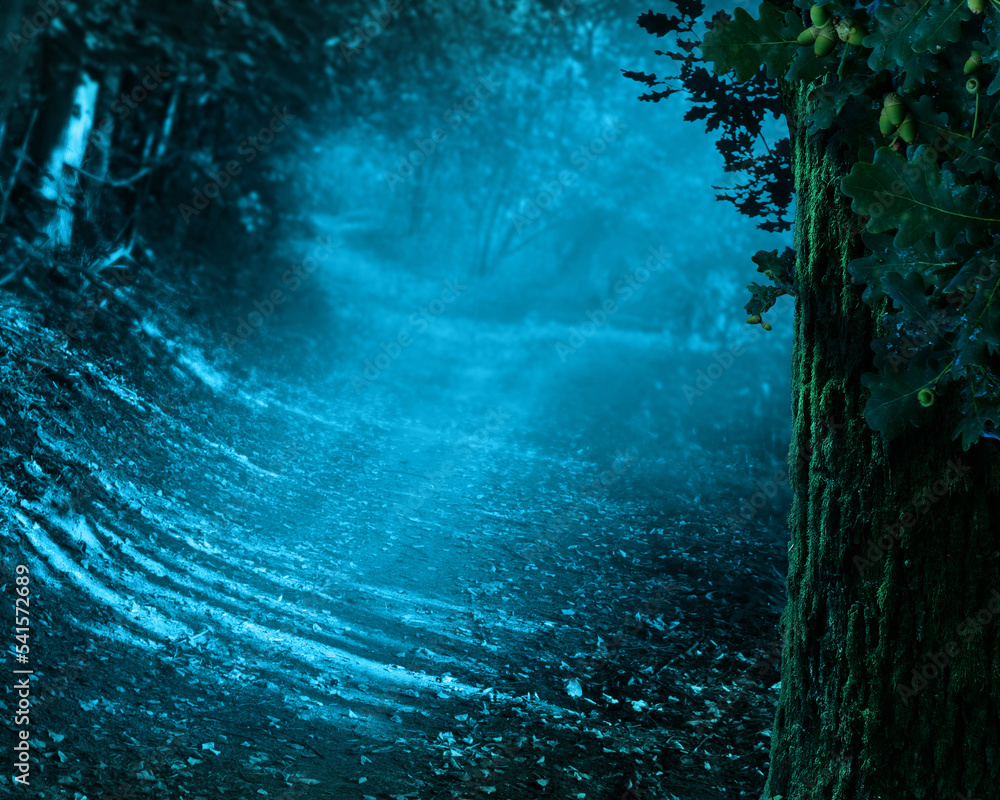 Blue light in the woods. Landscape with forest road lighted by sun rays ...