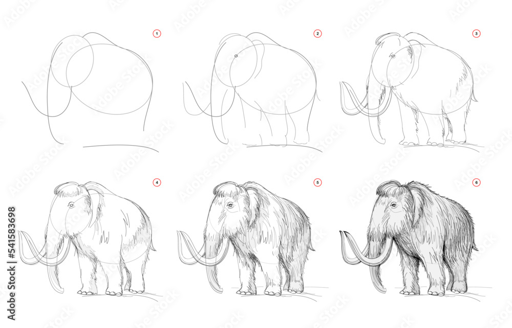 Page shows how to learn to draw sketch of mammoth. Creation step by ...