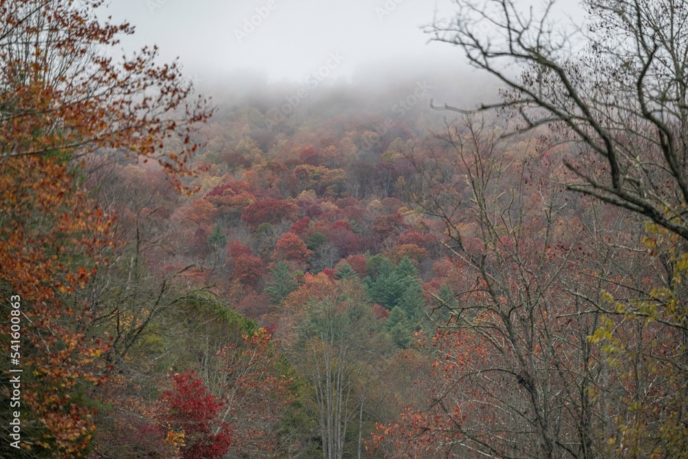fall in the blue ridge mountains Stock-Foto | Adobe Stock
