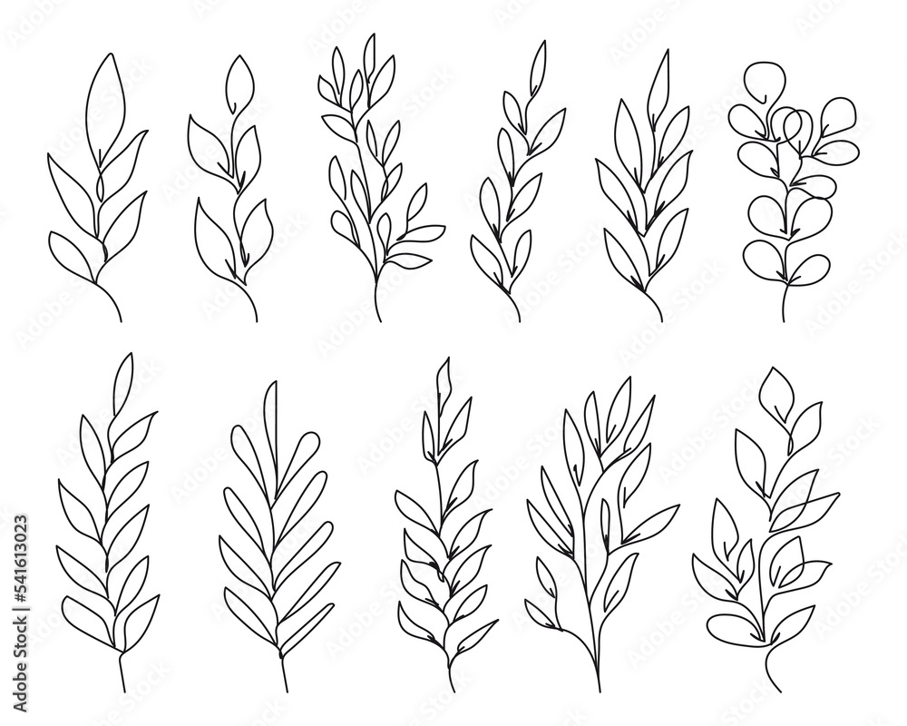 Continuous One Line Leaves Branch Set. Abstract Line Art of Flower with ...