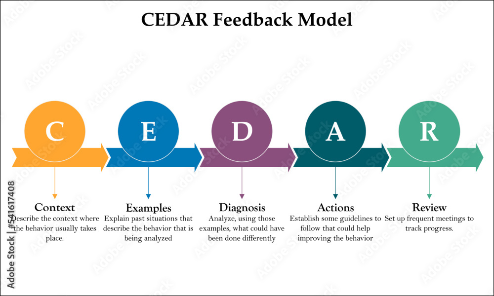CEDAR Feedback Model - Context, Examples, Diagnosis, Actions, Review ...