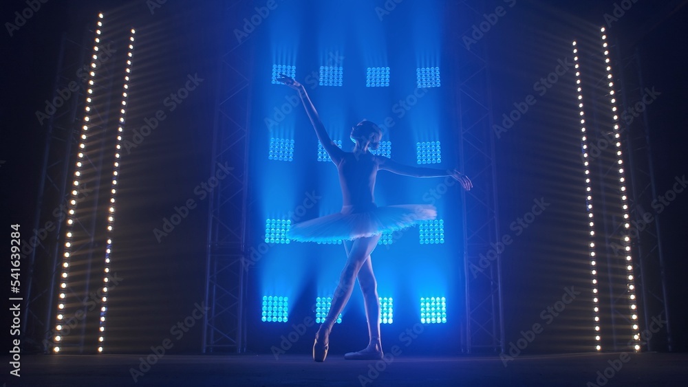 Young classical ballet dancer dancing in background of smoke and ...