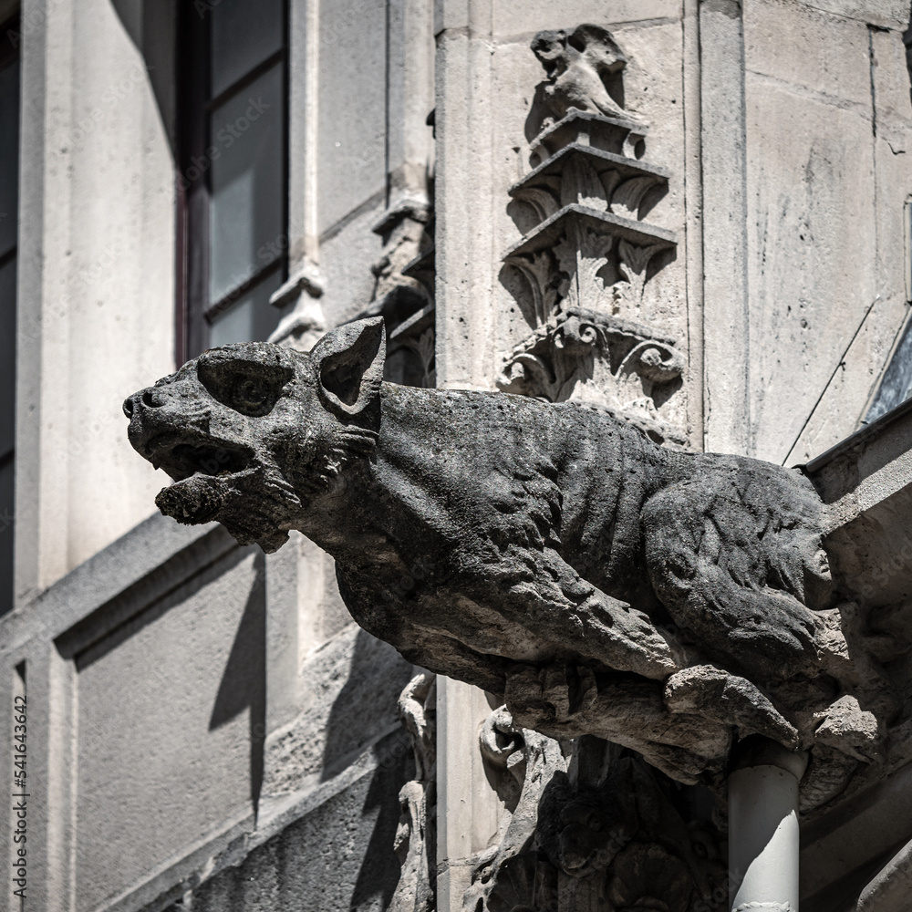 Medieval stone gargoyles on the roof of the palace in Nancy Stock Photo ...