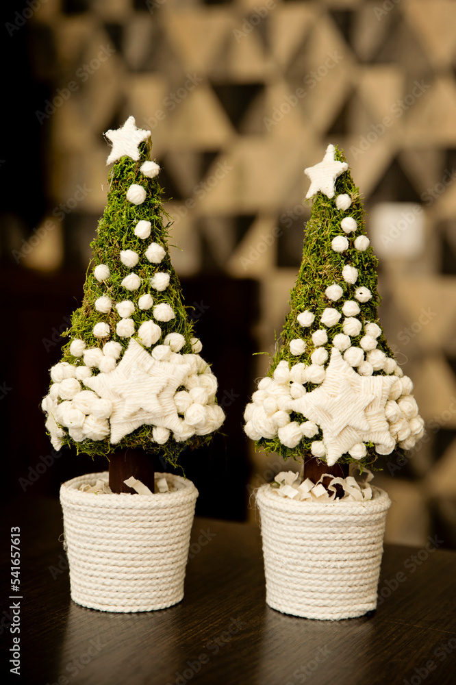 Small Christmas tree. Made of moss. Decorations from orange peel ...